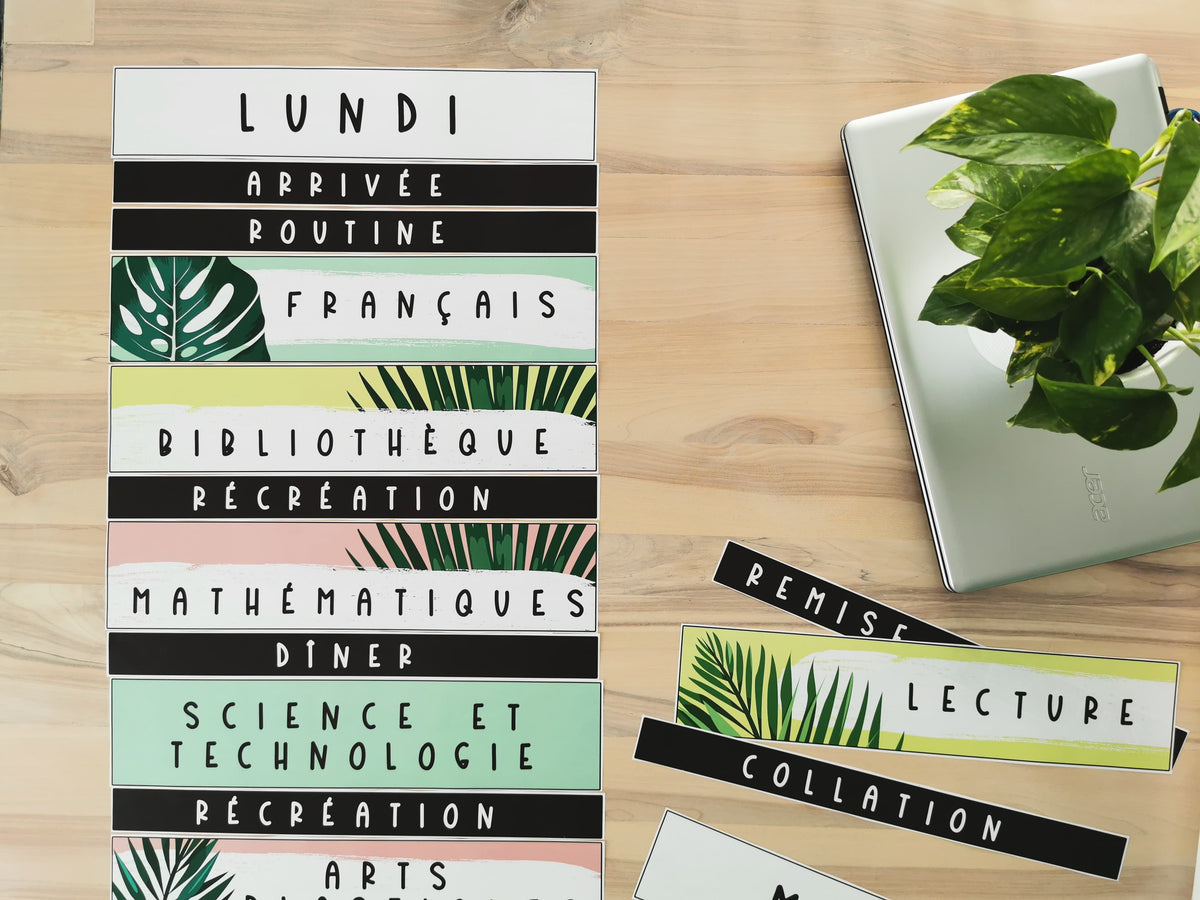 Menu du jour XL - Tropical – Valiseduprof