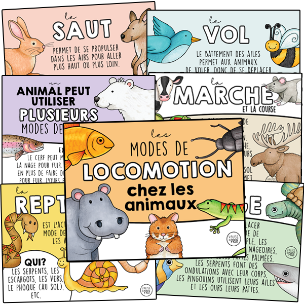 Affiches - Modes de locomotion des animaux – Valiseduprof