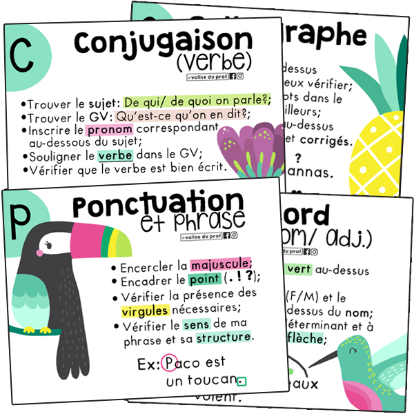 Code de correction SPACO – Valiseduprof