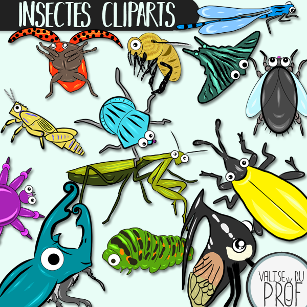 Cliparts insectes – Valiseduprof